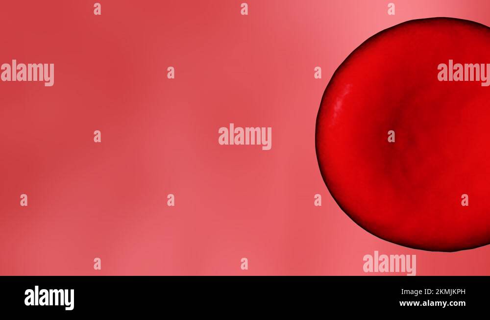 The red blood cell rotates in a circle on a red background Stock Video ...