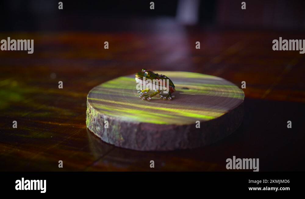 Base plated Stock Videos & Footage - HD and 4K Video Clips - Alamy