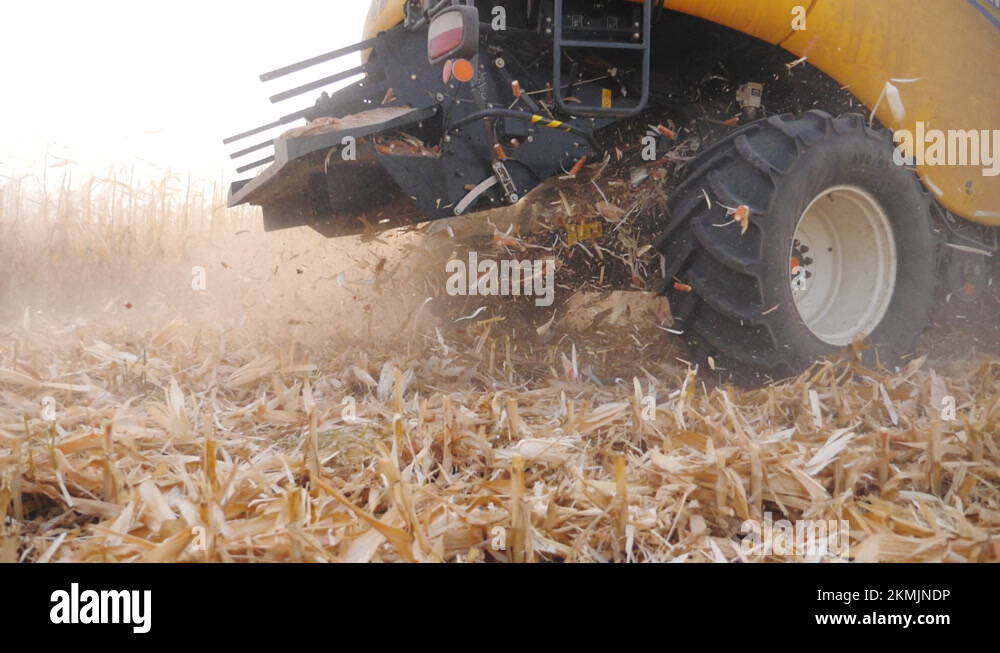 Crop waste Stock Videos & Footage - HD and 4K Video Clips - Alamy