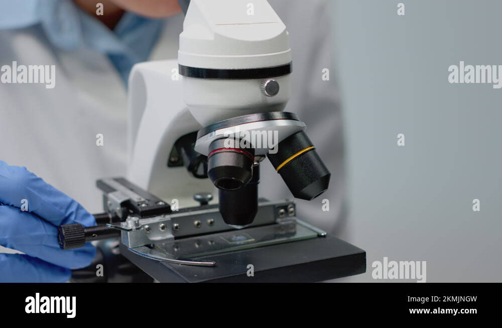 Sample tray Stock Videos & Footage - HD and 4K Video Clips - Alamy