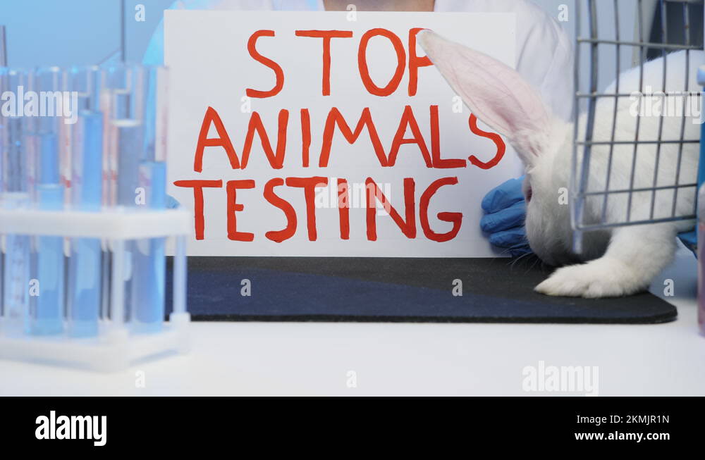 Lab animals poster Stock Videos & Footage - HD and 4K Video Clips - Alamy