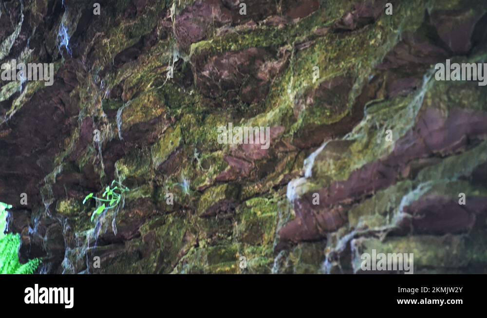 Slate rock formation Stock Videos & Footage - HD and 4K Video Clips - Alamy
