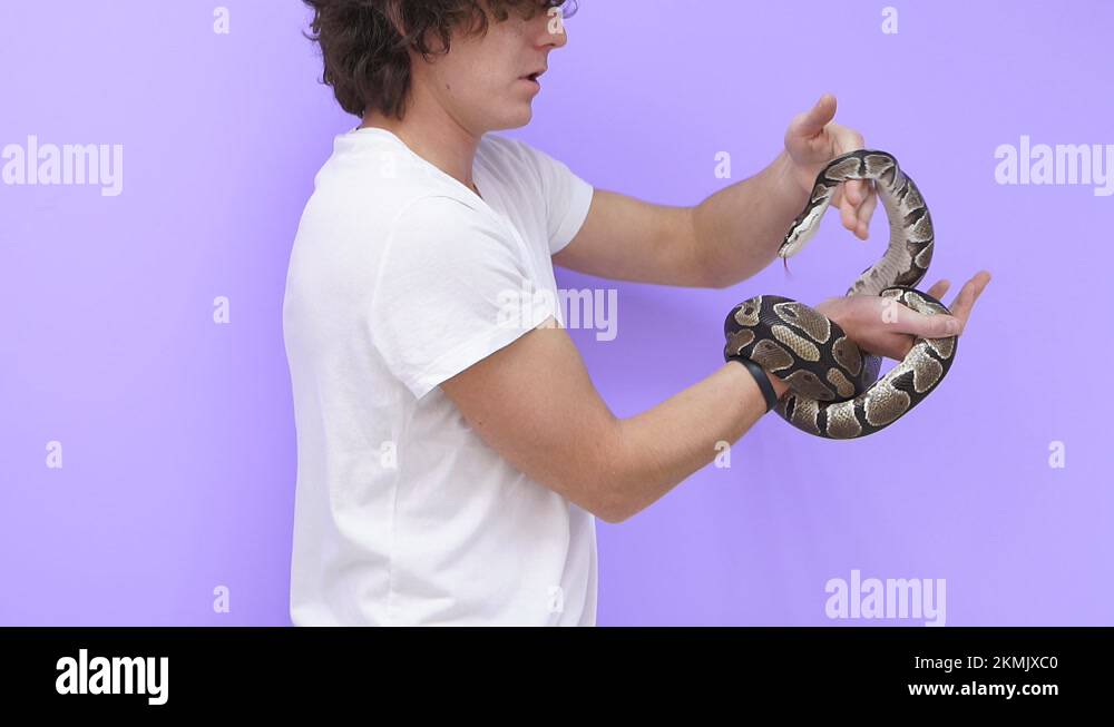 Close-up of a snake in human hands. The man stares at the snake, he ...