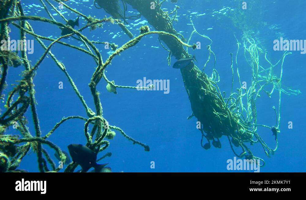 Floating trash garbage ocean Stock Videos & Footage - HD and 4K Video ...