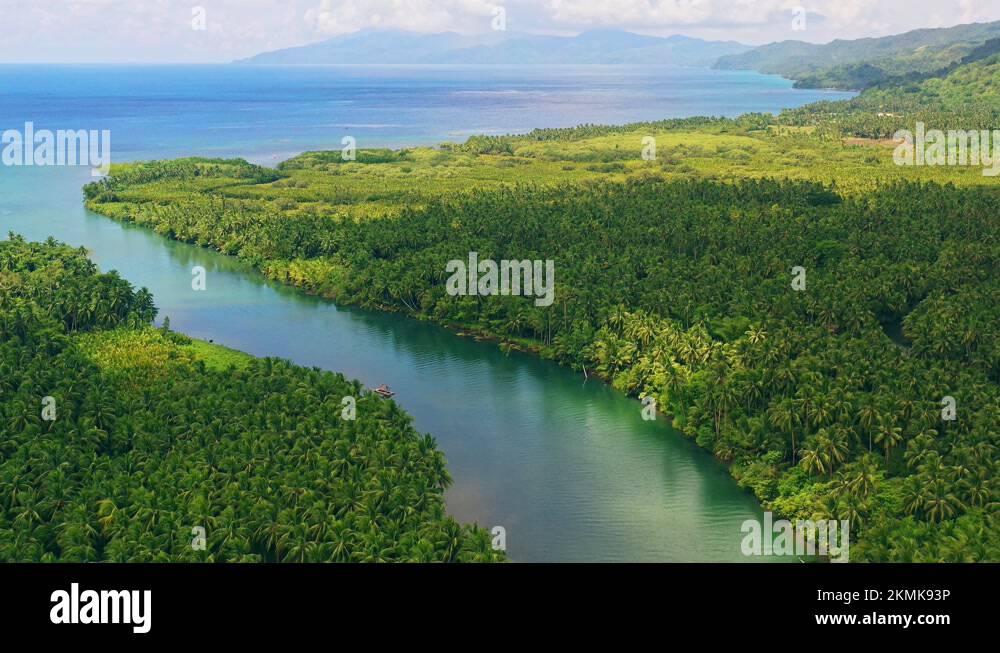 Coconut Tree Plantation With River Overlooking Blue Sea In Leyte Stock ...