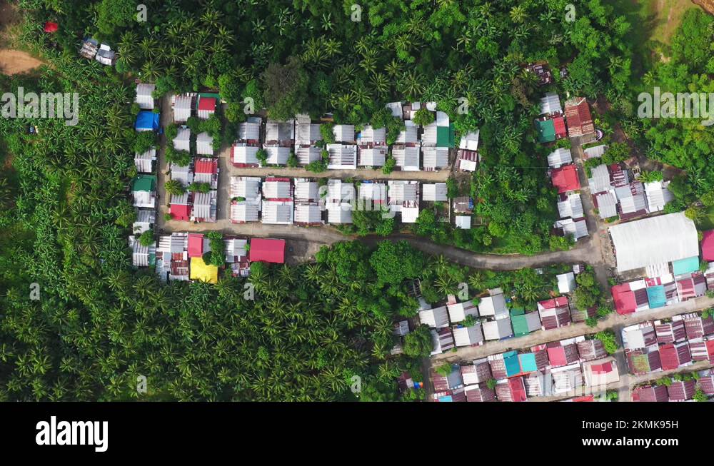 Roofscape Of Village In Lush Palm Trees At Saint Bernard, Southern ...