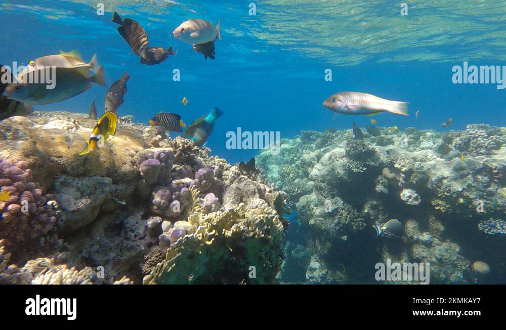 Sailing through a rift in a coral reef in morning sunrays. Sun rays in ...