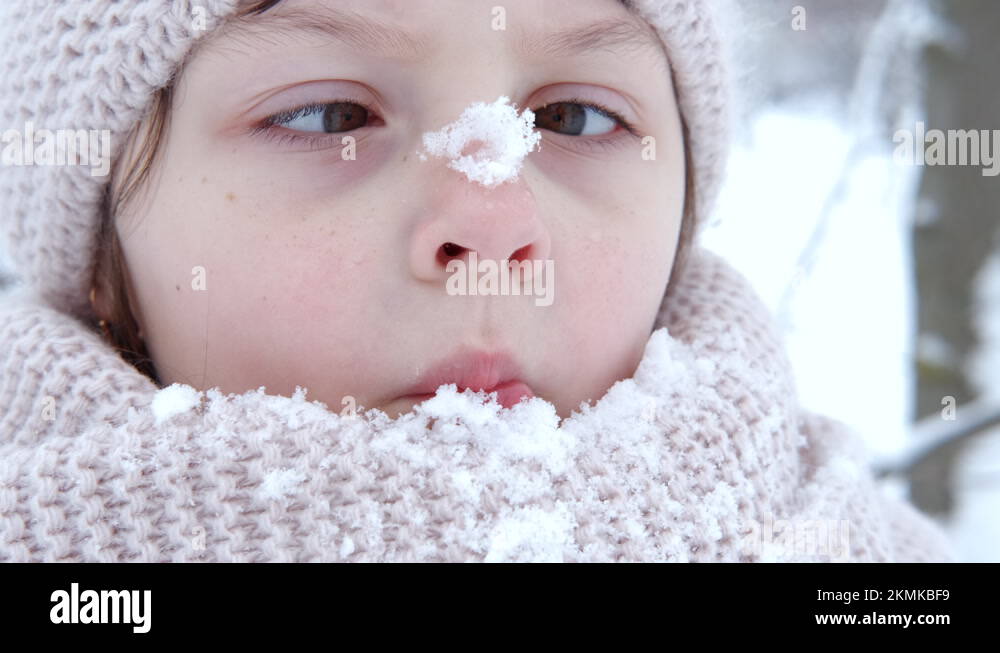 Nose in the snow Stock Videos & Footage - HD and 4K Video Clips - Alamy
