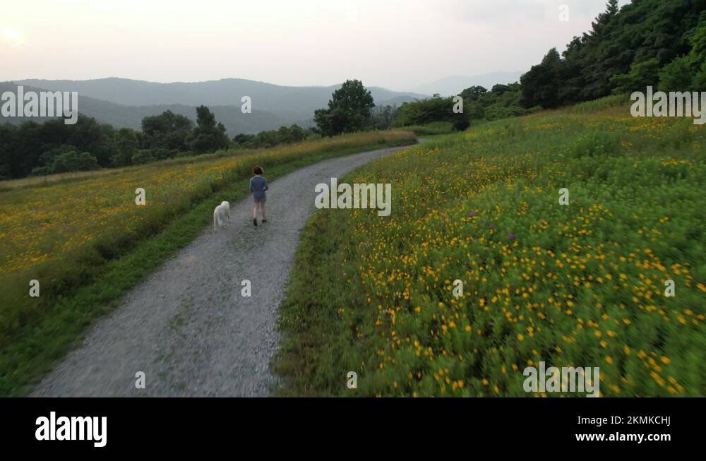 Appalachian trail white mountain Stock Videos & Footage - HD and 4K ...