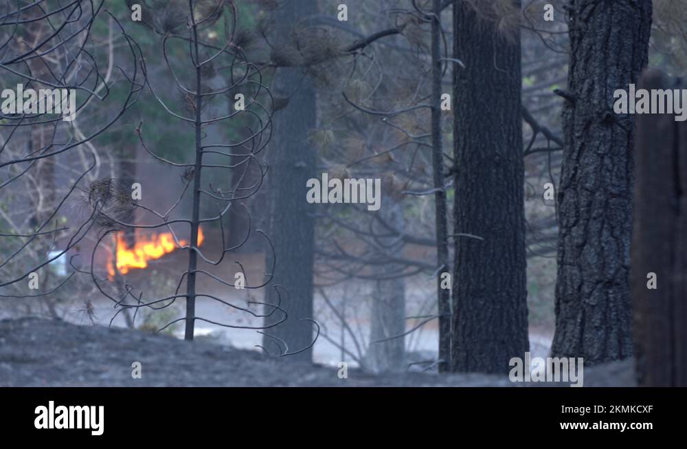 Unplanned fire Stock Videos & Footage - HD and 4K Video Clips - Alamy