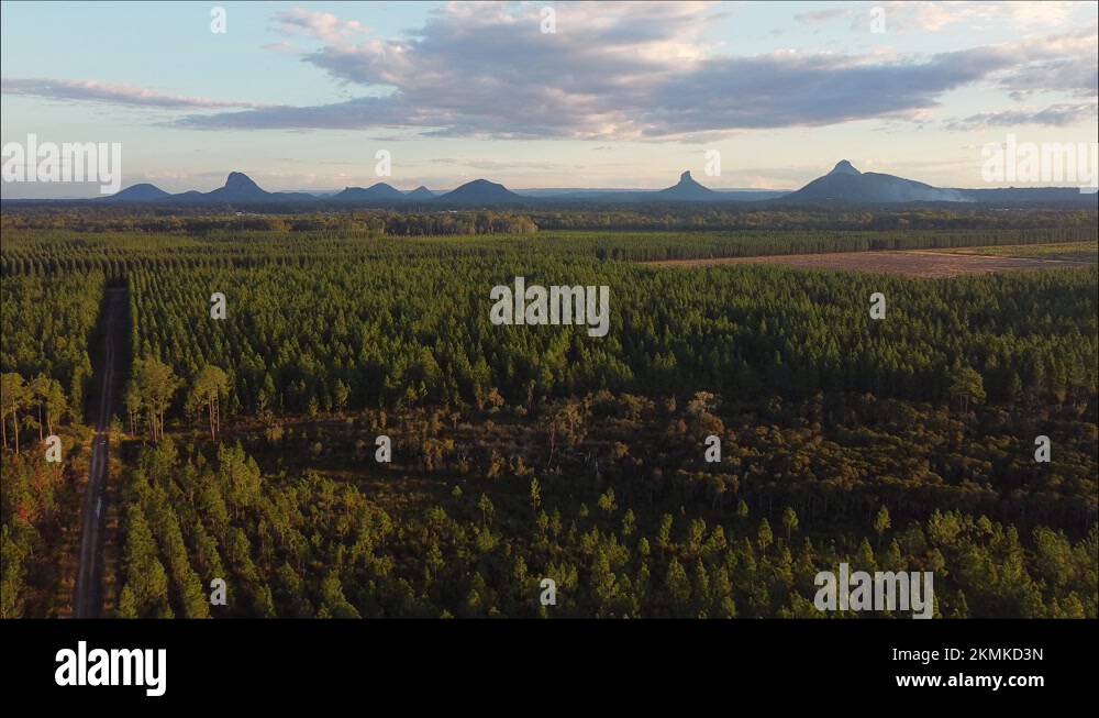 Beerburrum State Forest Towards Glass House Mountains Drone 4K Stock ...