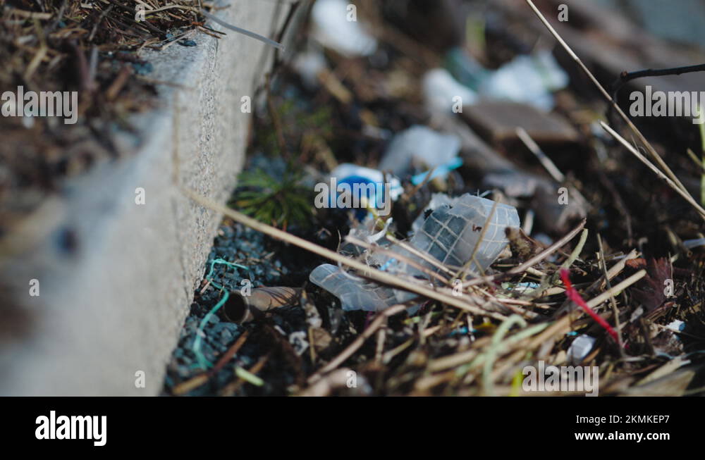 Litter shoreline Stock Videos & Footage - HD and 4K Video Clips - Alamy