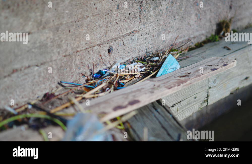 Litter decomposition Stock Videos & Footage - HD and 4K Video Clips - Alamy
