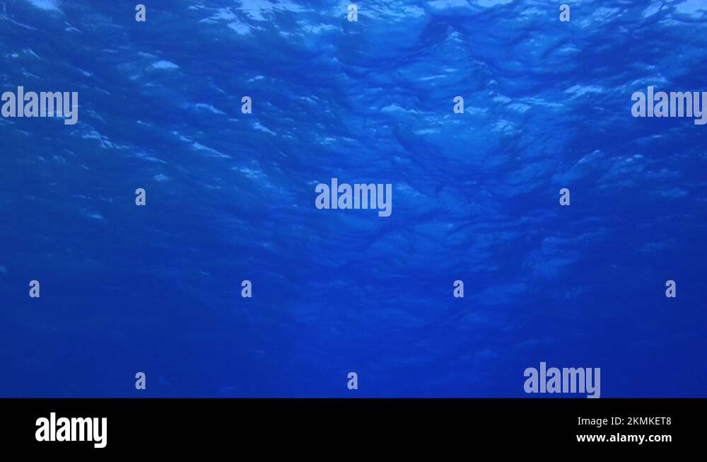 Ocean beneath surface Stock Videos & Footage - HD and 4K Video Clips ...