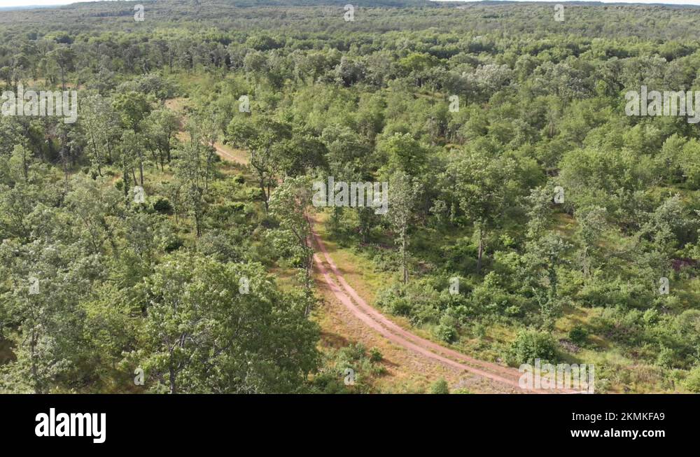 overlanding camper van driving off road forest road trails vanlife ...
