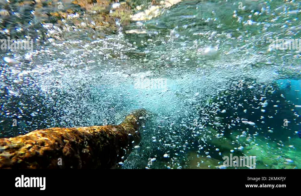 Underwater View of Oxygen Bubbles in Crystal Clear Spring Water, Slow ...