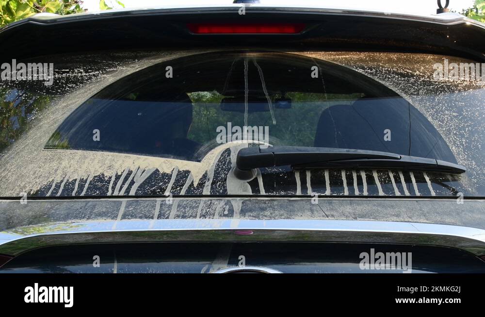 Dust wiper Stock Videos & Footage - HD and 4K Video Clips - Alamy