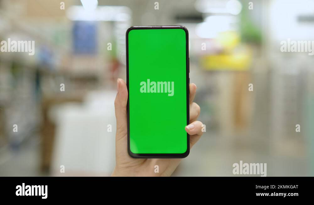 Shopping center. Mall. Department store. Back view of brunette holding ...