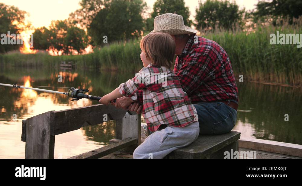 Granny fish Stock Videos & Footage - HD and 4K Video Clips - Alamy