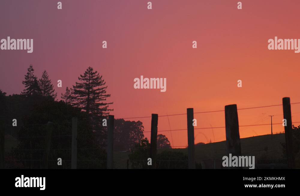 Trees fence field sky sunset fence Stock Videos & Footage - HD and 4K ...