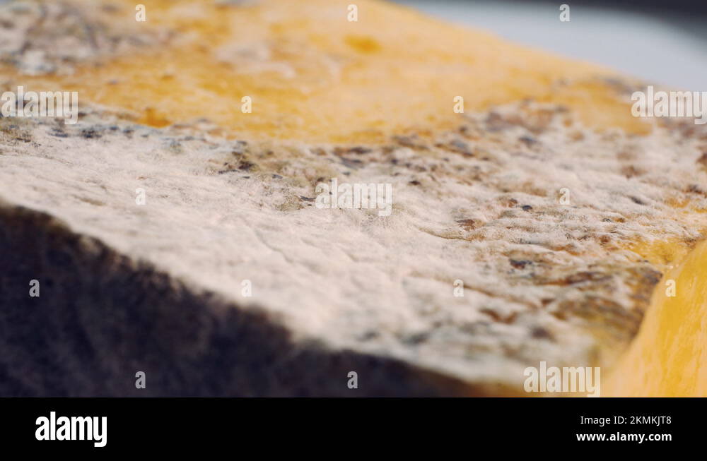 Fungal poison Stock Videos & Footage - HD and 4K Video Clips - Alamy