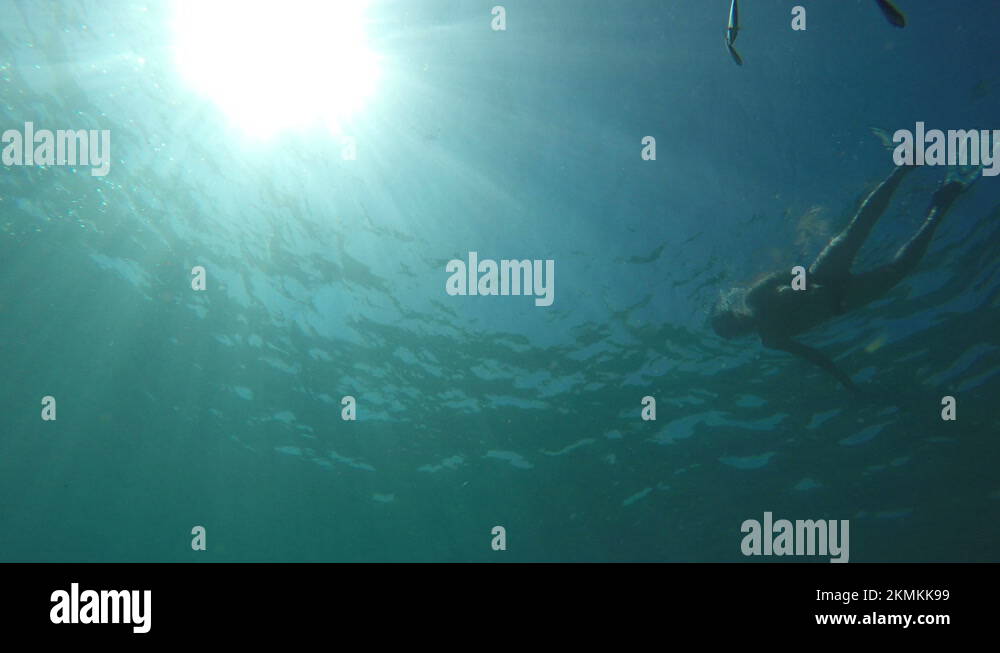 Bright flippers Stock Videos & Footage - HD and 4K Video Clips - Alamy