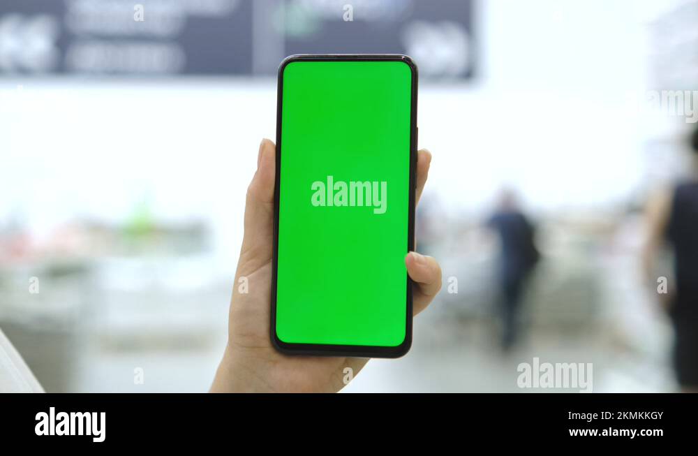 Shopping center. Mall. Department store. Back view of brunette holding ...