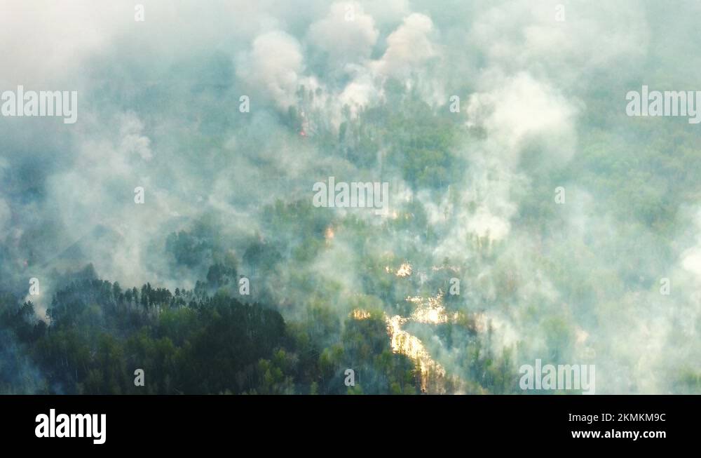 Air pollution forest fire smoke Stock Videos & Footage - HD and 4K ...