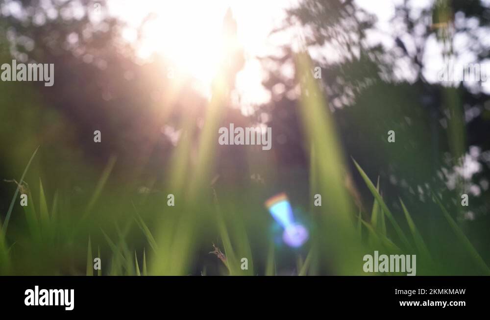 Update sign Stock Videos & Footage - HD and 4K Video Clips - Alamy