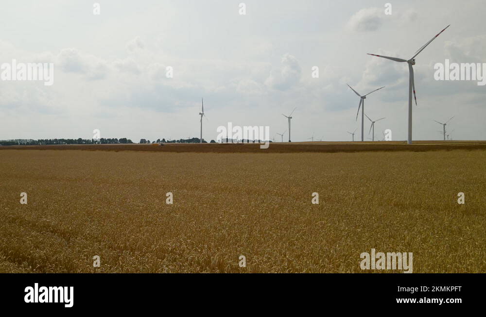 Wind Turbines Generating Clean Energy By The Wheat Fields In Zwartowo ...
