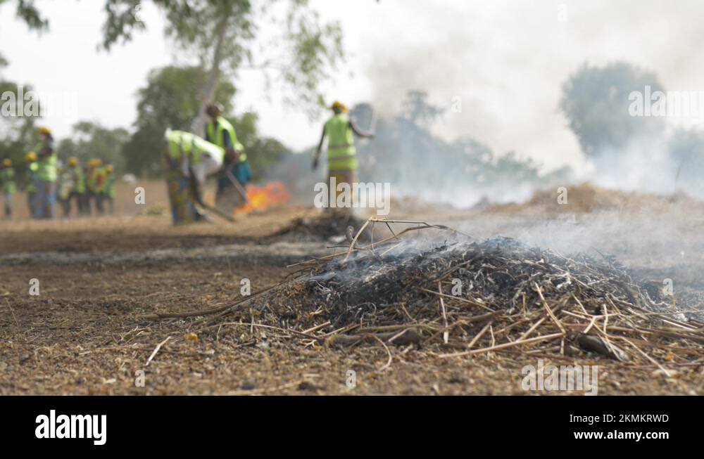 Agricultural land clearing Stock Videos & Footage - HD and 4K Video ...