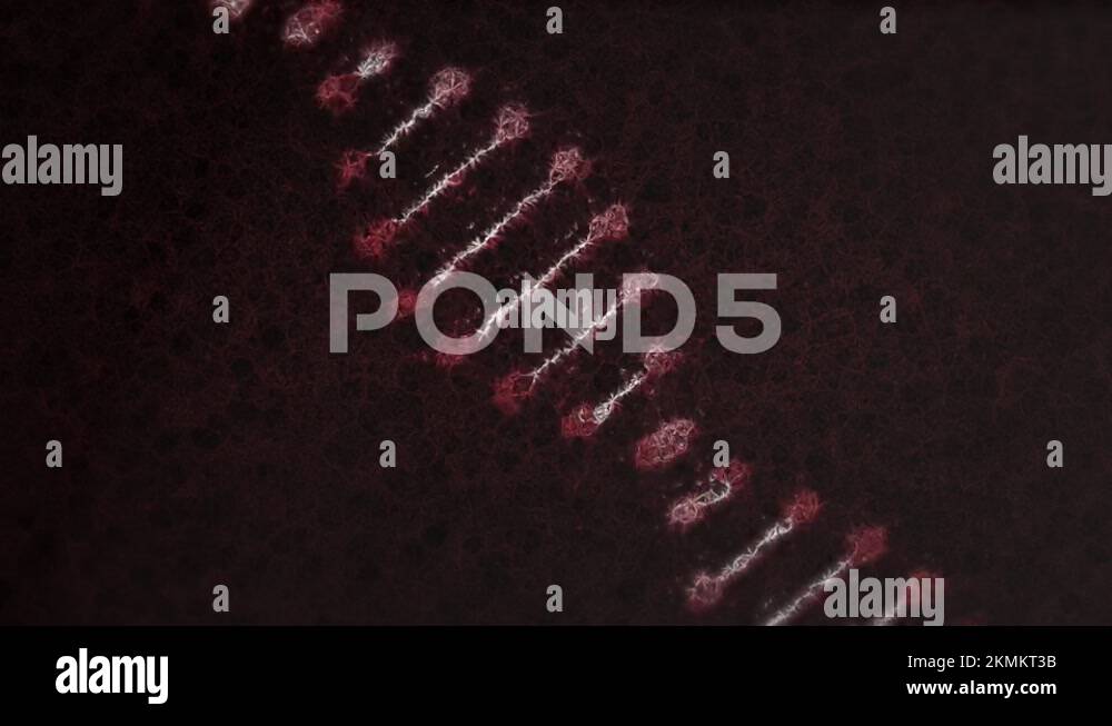 Digital Animation Of Dna Structure Spinning Against Black Background Stock Video Footage Alamy