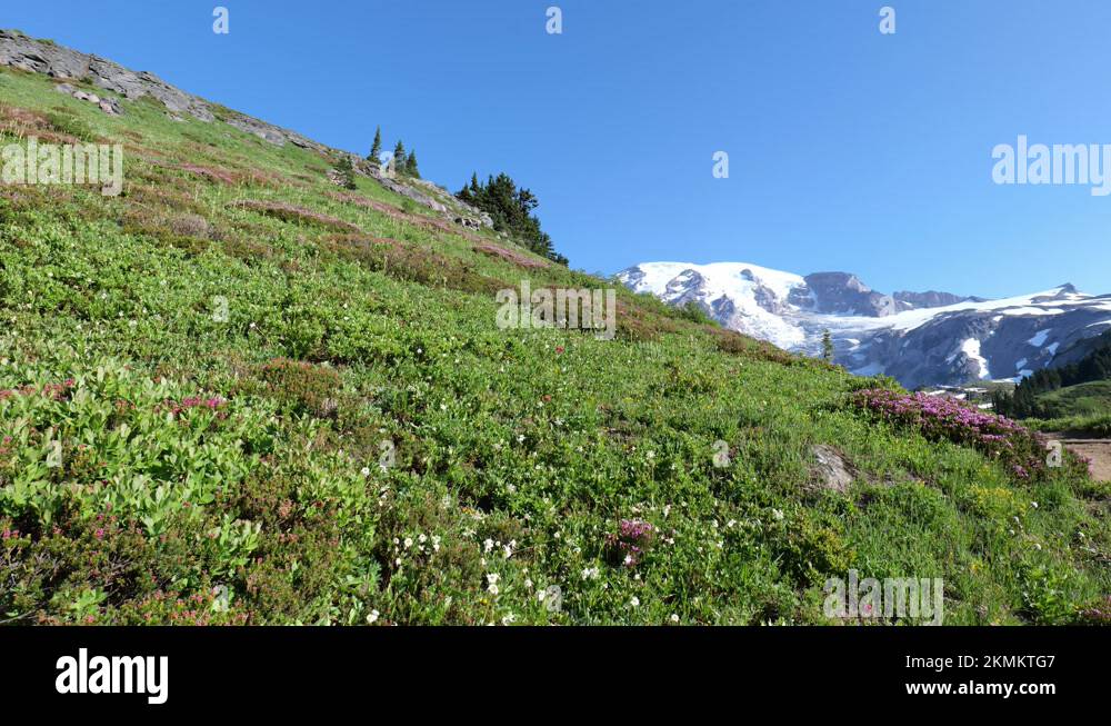 White avalanche Stock Videos & Footage - HD and 4K Video Clips - Alamy