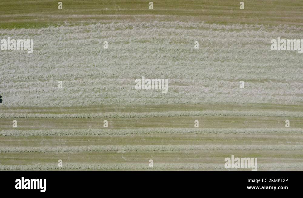 Twin row harvester Stock Videos & Footage - HD and 4K Video Clips - Alamy