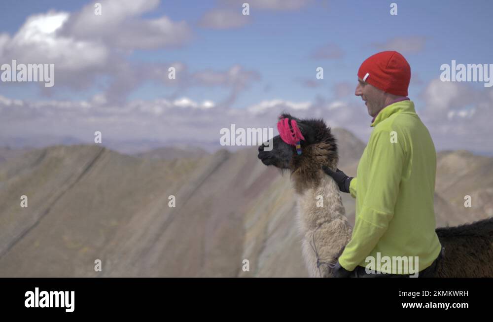 Male model and llama in the new rainbow Mountains of Cusco, Peru at the ...