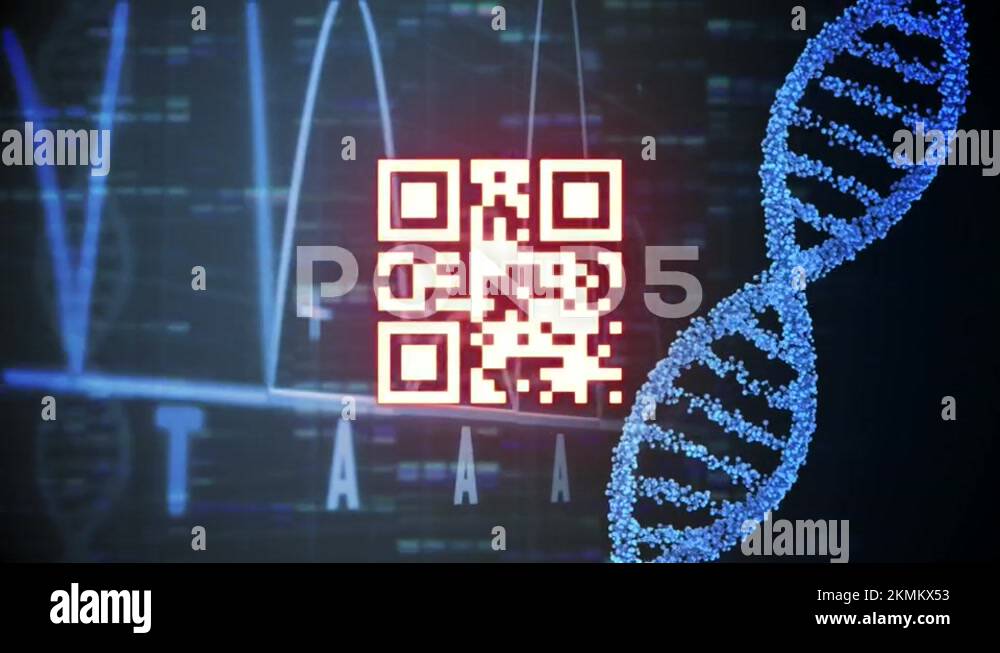 Digital animation of neon pink qr code over dna structure spinning and ...
