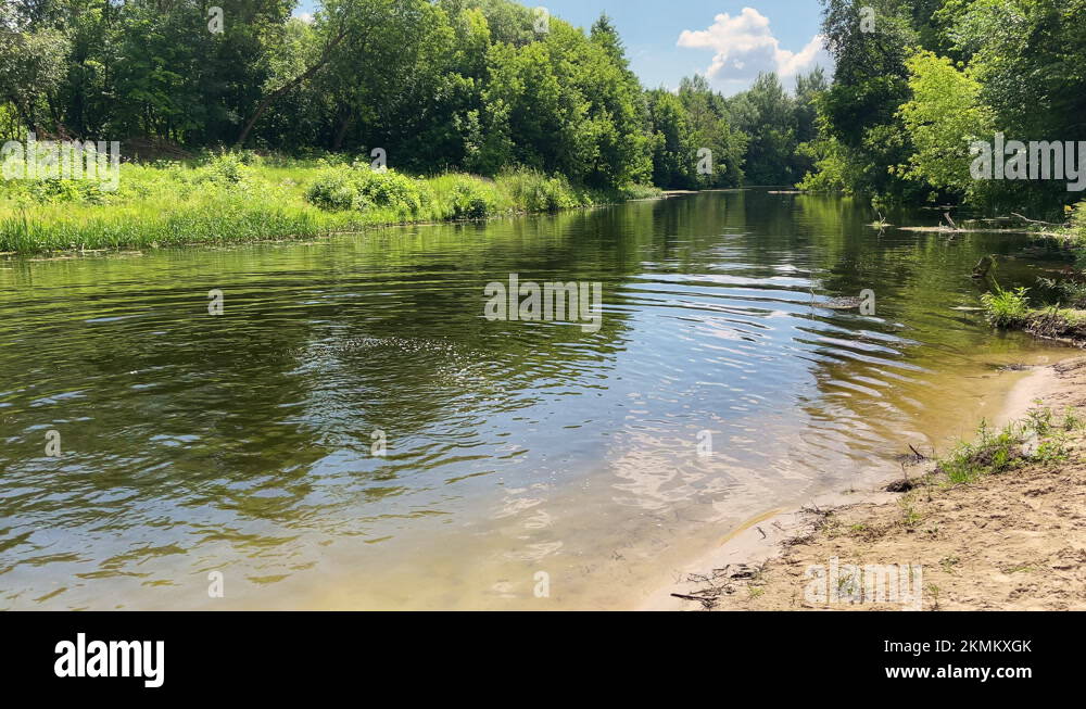 4k Narrow river between green trees with a sand beach Stock Video ...
