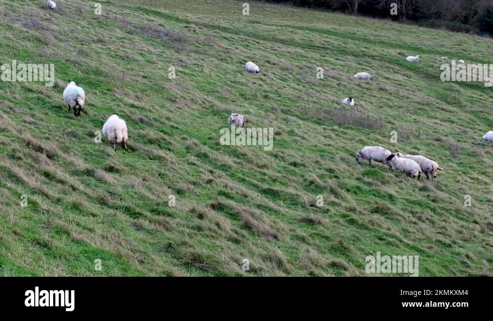 White tor Stock Videos & Footage - HD and 4K Video Clips - Alamy