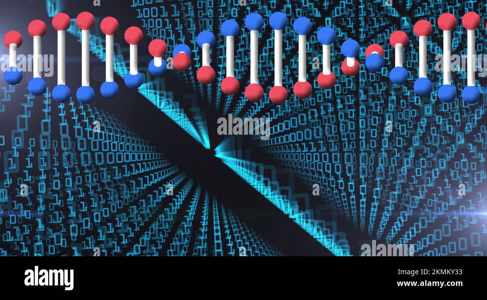 Binary code dna strand Stock Videos & Footage - HD and 4K Video Clips - Alamy