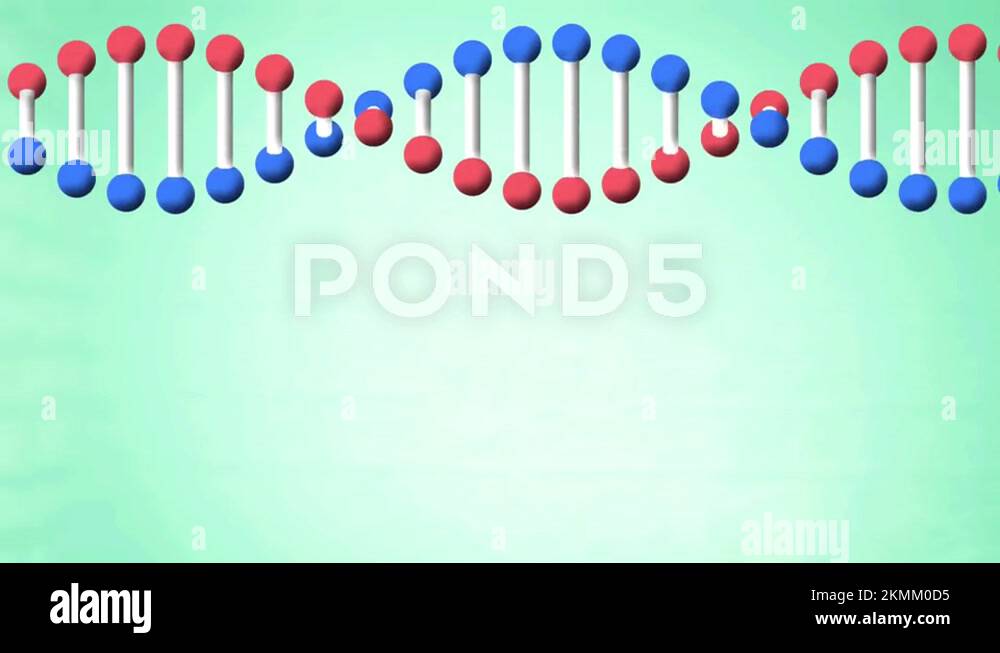 Animation of rotating 3d model dna strand, on pale green background ...
