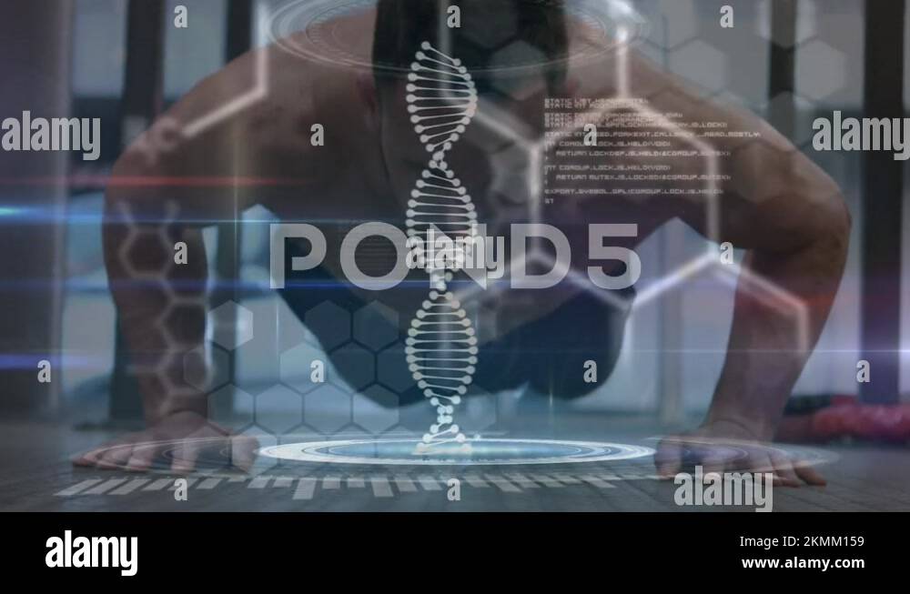 Muscle strand Stock Videos & Footage - HD and 4K Video Clips - Alamy