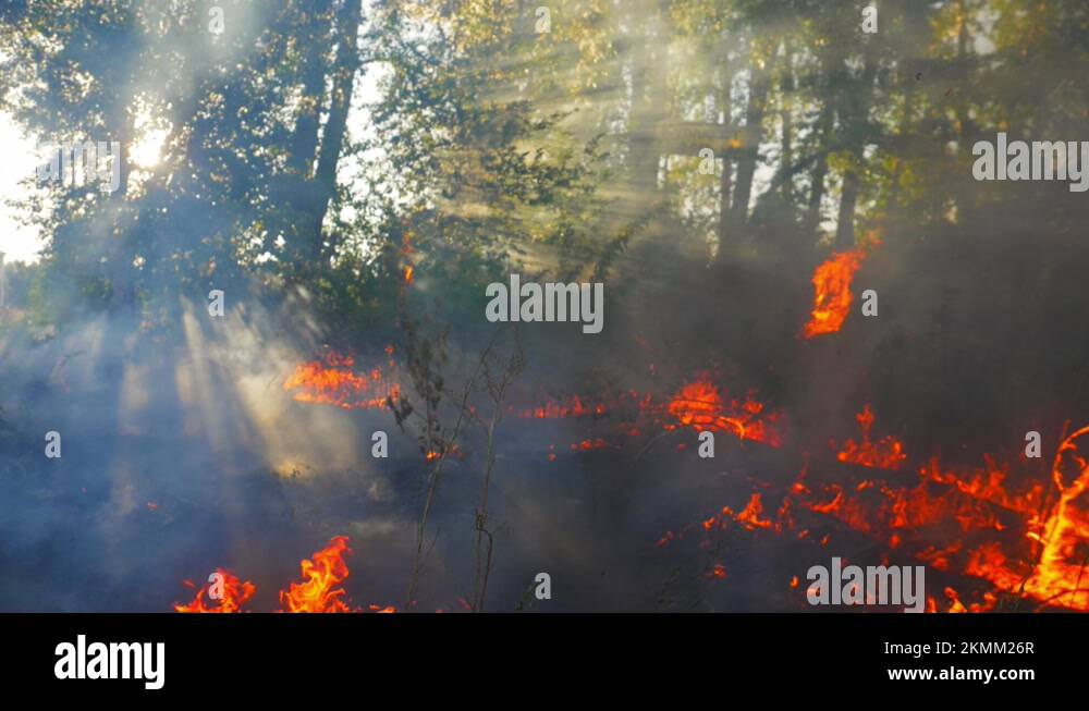 Air pollution caused by fire on dump site. Clouds of smoke above the ...