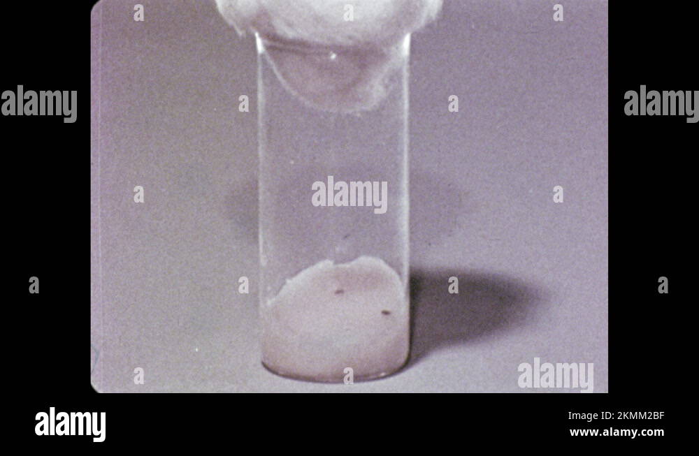 Beaker glass Stock Videos & Footage - HD and 4K Video Clips - Alamy