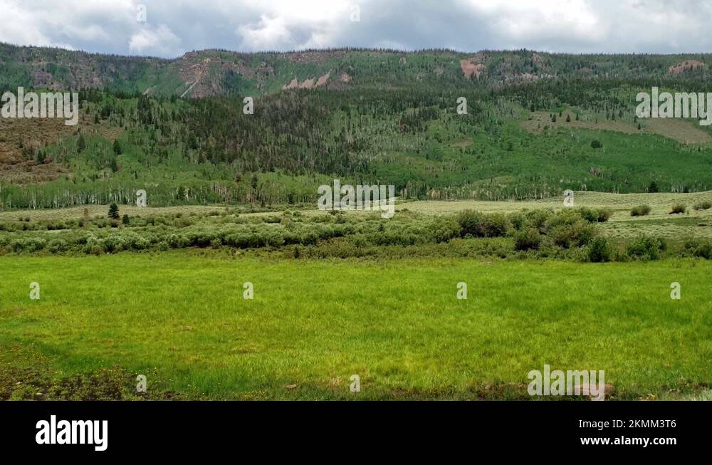 Fish Lake National forest and scenic byway in central Utah Stock Video ...