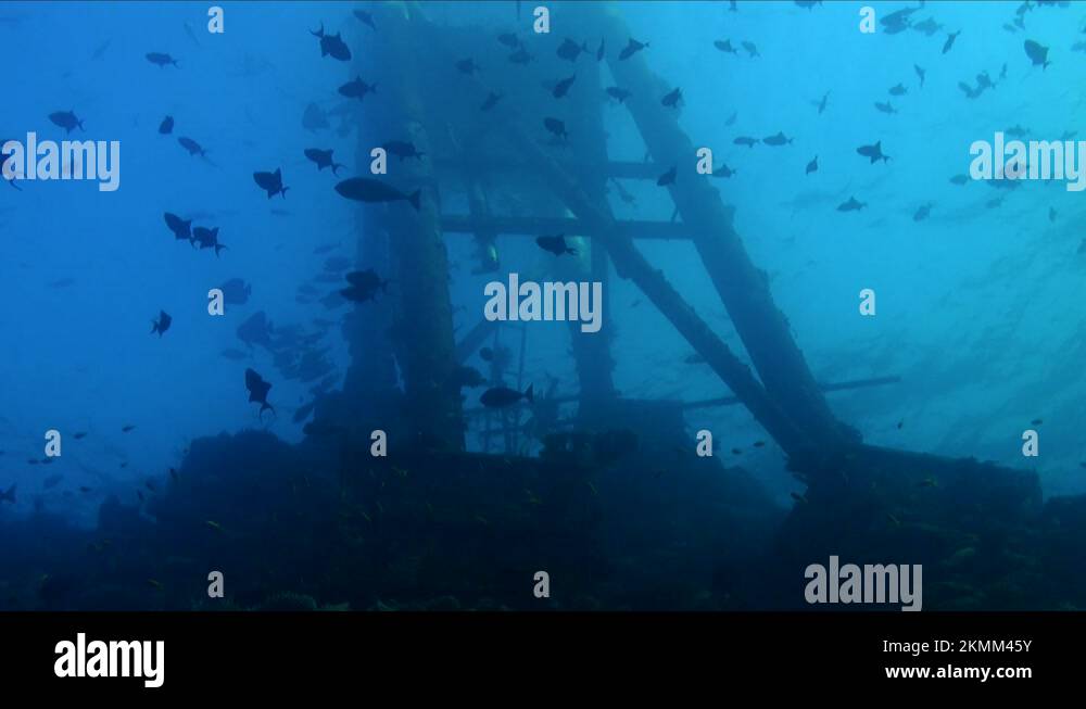 Reef pier Stock Videos & Footage - HD and 4K Video Clips - Alamy