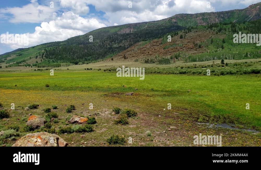 Fish Lake National Forest and scenic byway in slow panorama under blue ...