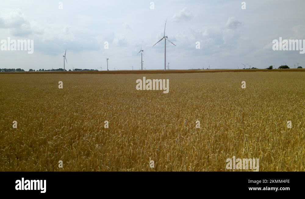 Wind turbine on a grain field Stock Videos & Footage - HD and 4K Video ...