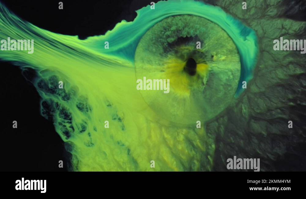 Phoenix eye Stock Videos & Footage - HD and 4K Video Clips - Alamy