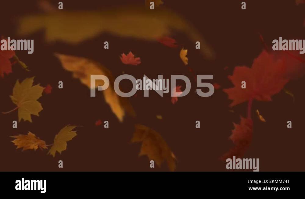 Digital animation multiple autumn leaves Stock Videos & Footage - HD ...