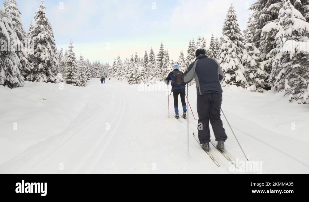Cross-country skiers walk down a trail in a snow-covered winter ...